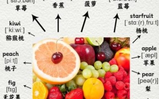 水果英语单词大全_常见水果英文名称有哪些