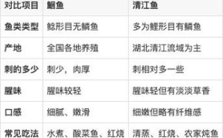 鮰鱼和清江鱼是一样的吗_区别与选购指南