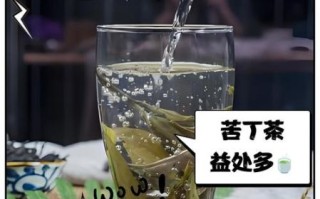苦丁茶怎么喝减肥最快_苦丁茶减肥正确方法