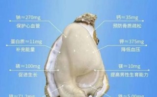牡蛎怎么吃壮阳_牡蛎壮阳的正确吃法