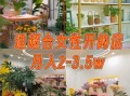 3万元内能开什么加盟店_低成本创业做什么好