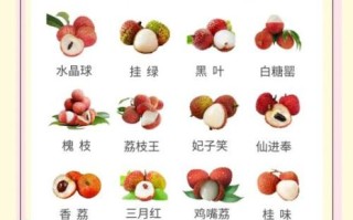 荔枝产地哪里最正宗_如何挑选当季荔枝