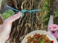豇豆干怎么做_豇豆干怎么晒