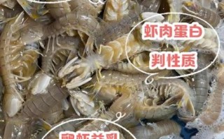 爬爬虾怎么水煮_水煮爬爬虾用冷水还是热水