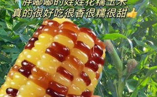 玉米花怎么做_玉米花用哪种玉米