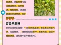 百香果怎么吃_百香果的功效与作用