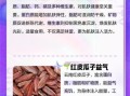 红瓜子的功效与作用_红瓜子的禁忌人群有哪些