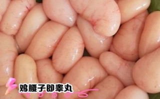 鸡子是什么意思_鸡子是鸡蛋还是鸡睾丸