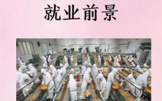 食品科学与工程就业前景怎么样_毕业后能做什么工作