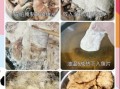 炸鱼排怎么腌制才入味_炸鱼排用什么鱼最好吃