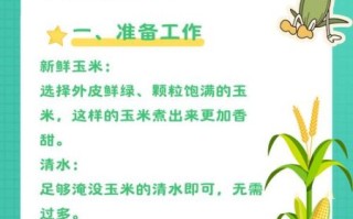 煮玉米需要多长时间_怎么煮玉米才好吃