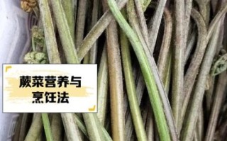 蕨菜的功效与作用_蕨菜怎么吃才安全