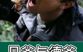 贝爷生存怎么玩_麻花游戏解说贝爷生存技巧