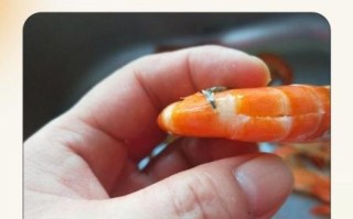 虾线吃了有害吗_虾线怎么去除