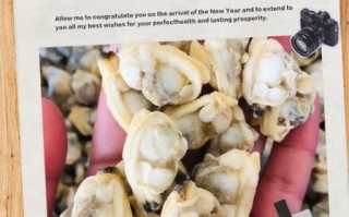 正宗花蛤怎么清洗_花蛤吐沙最快的方法