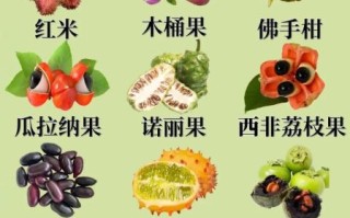 中国奇特水果有哪些_它们真的好吃吗