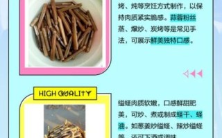 竹节蛏是什么东西_竹节蛏和蛏子区别