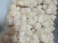 鲜贝柱怎么做好吃_鲜贝柱的家常做法
