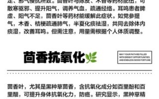 茴香叶的功效与作用_茴香叶怎么吃最好