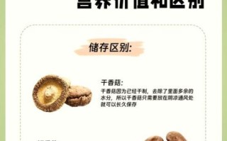 干香菇的功效与作用_干香菇怎么吃最营养