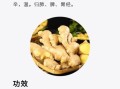 生姜的作用与功效有哪些_生姜怎么吃效果最好