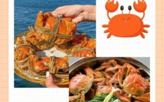 大闸蟹蒸多长时间最好吃_蒸大闸蟹最佳时间