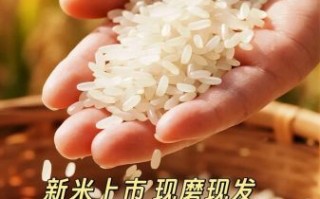 东北大米为什么好吃_东北大米和普通大米区别