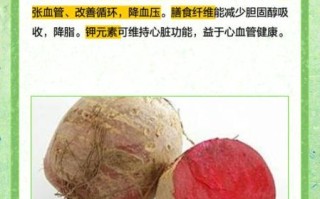 农村说的甜菜是什么菜_甜菜根和糖萝卜的区别