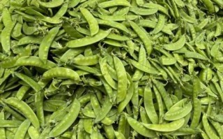 豌豆荚官网下载安全吗_豌豆荚怎么安装到手机