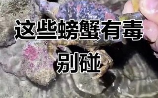 中国十大毒螃蟹有哪些_如何避免中毒