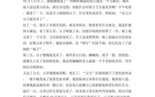 四年级豆芽观察日记怎么写_豆芽生长过程记录