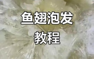干鱼翅怎么泡发_干鱼翅怎么做好吃又简单方便
