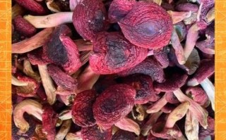 红菇多少钱一斤_红菇真假怎么辨别