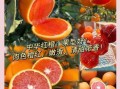 血橙产地哪里的最好_血橙哪个品种最甜
