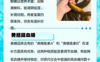 泥鳅和黄鳝的区别_哪个更补