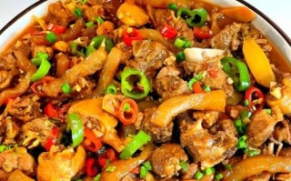 魔芋烧鸭子怎么做好吃_魔芋烧鸭子家常做法