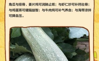 角瓜是什么字_角瓜的汉字写法与读音