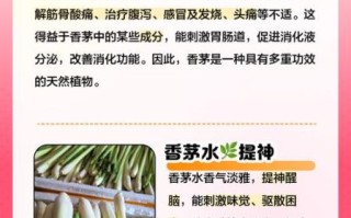 香茅可以吃吗_香茅怎么吃才安全