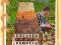 荔浦芋头怎么保存时间长_荔浦芋头保存方法