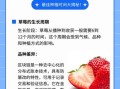 草莓什么时候种植最好_草莓最佳种植时间