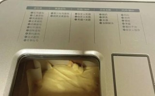面包机怎么做蛋糕_面包机做蛋糕视频教程