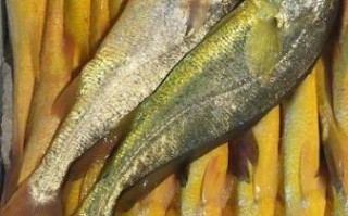 黄花鱼多少钱一斤2021_2021年黄花鱼价格行情