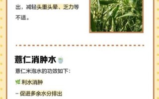 薏仁米怎么泡水喝_薏仁米泡水的正确做法