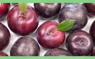 西梅和李子的区别_西梅和李子哪个更通便