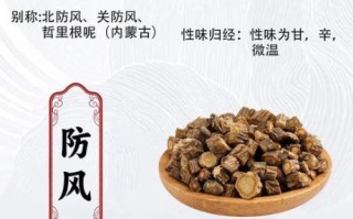 防风的功效与作用_防风有哪些副作用