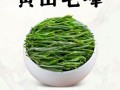 黄山毛峰是绿茶还是红茶_黄山毛峰属于什么茶类
