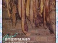 腊肉怎么处理_腊肉怎么保存