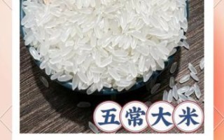 全国最好吃的大米排名价格_多少钱一斤