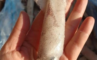 海兔影院开车了是什么意思_海兔影院最新地址怎么找