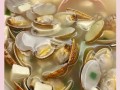 花甲豆腐汤怎么做_花甲豆腐汤的做法大全